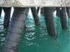 Guide to Marine Piling and Pile Protection