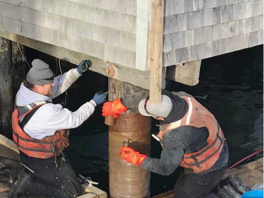 Guide to Marine Piling and Pile Protection